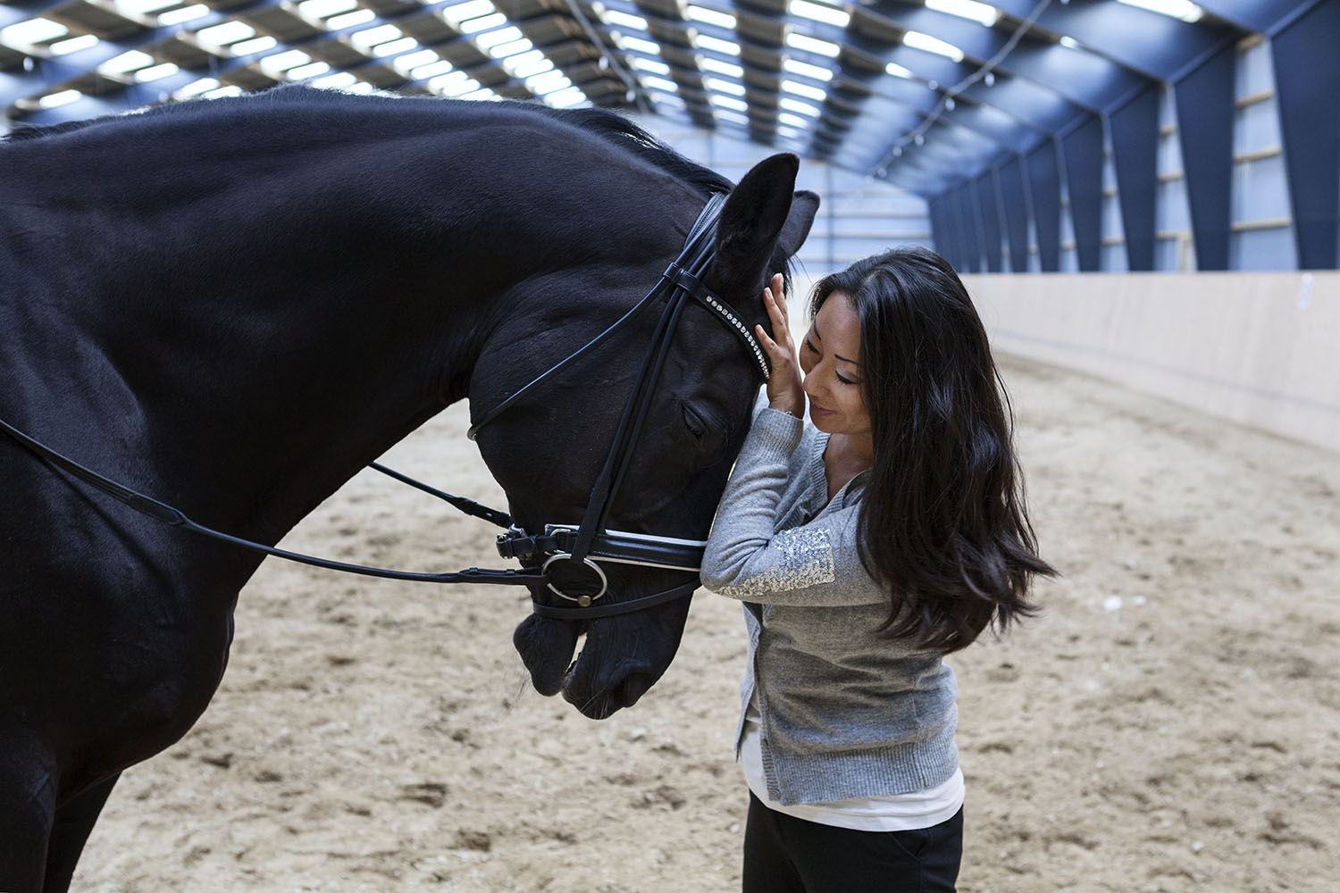 Online Telepathy with Horses I Animal communicator Ditte Young