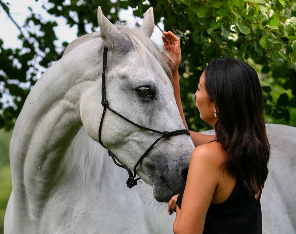 What is a horse whisperer? Definition, role, & education