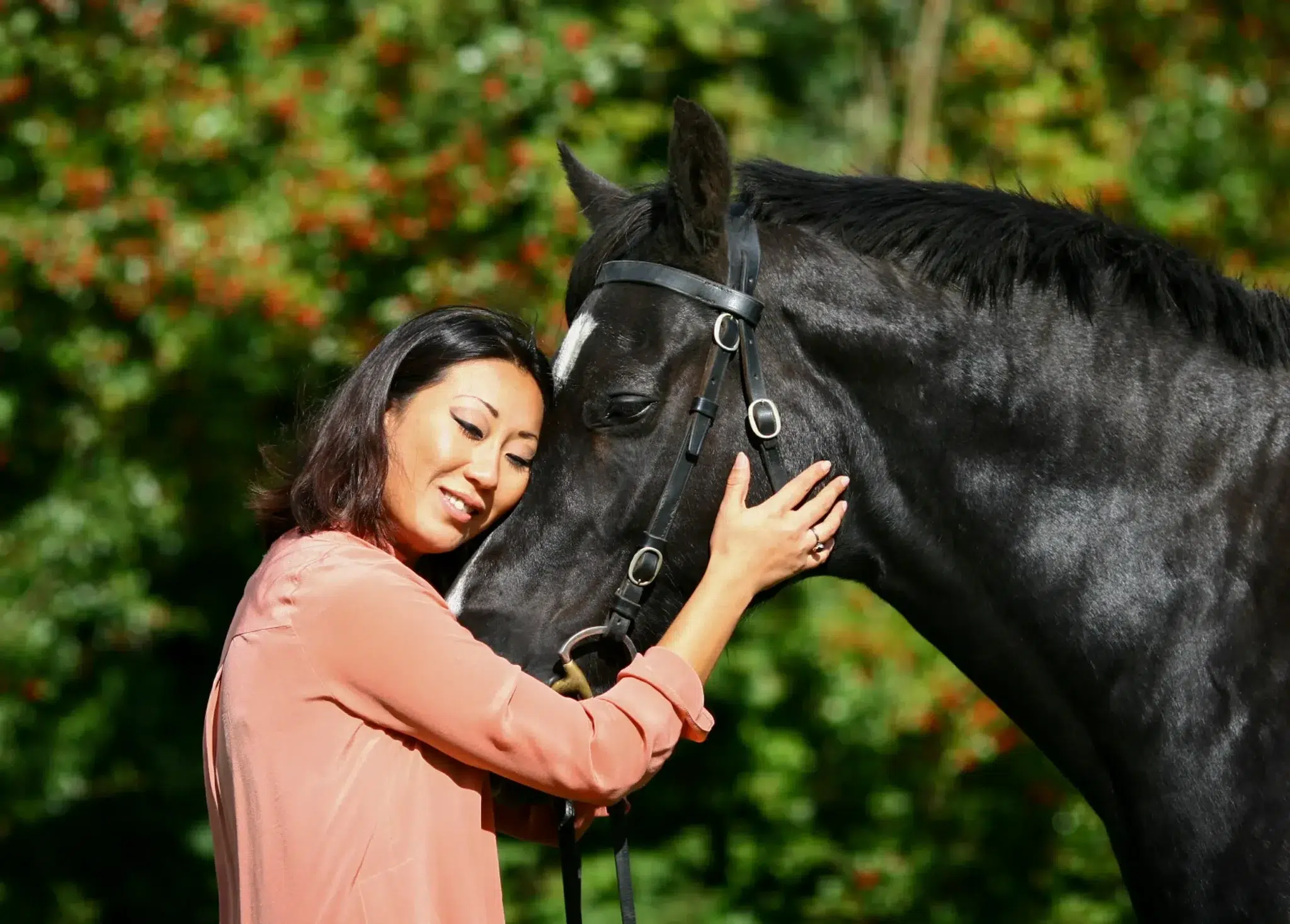 Ditte Young online courses for horse owners | Understand your horse